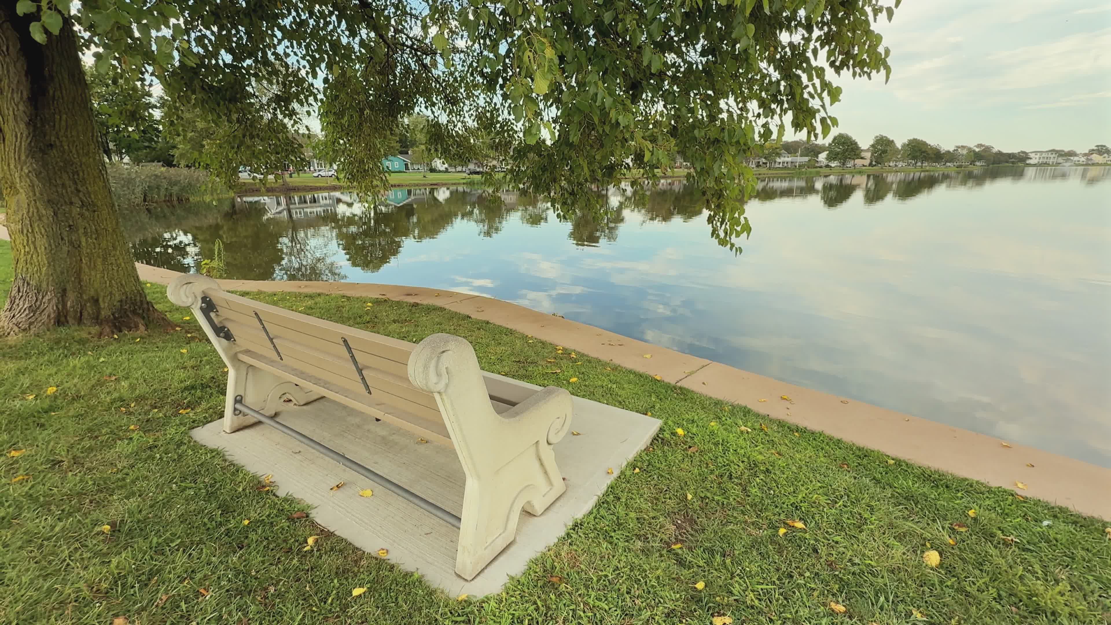 Tranquil Lakeside Bench with Scenic Reflection Free Stock Video Footage ...