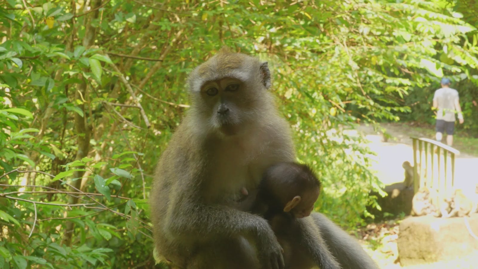 Very+Young+Skinny+Women+Stripping Videos, Download The BEST Free 4k Stock Video Footage & Very ...