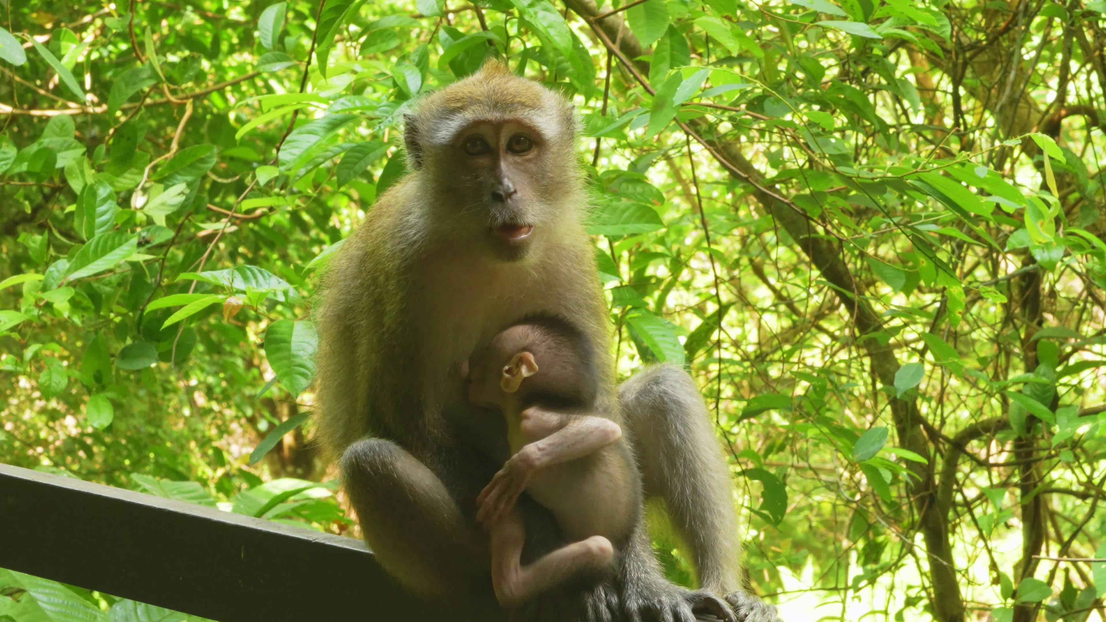 Step+Mom+Shower+With+Step+Son Videos, Download The BEST Free 4k Stock ...