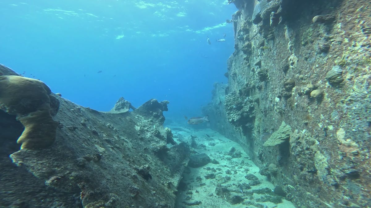 Step+Mom+And+Son+Sharing+Bed+Brazzers Videos, Download The BEST Free 4k Stock Video Footage ...