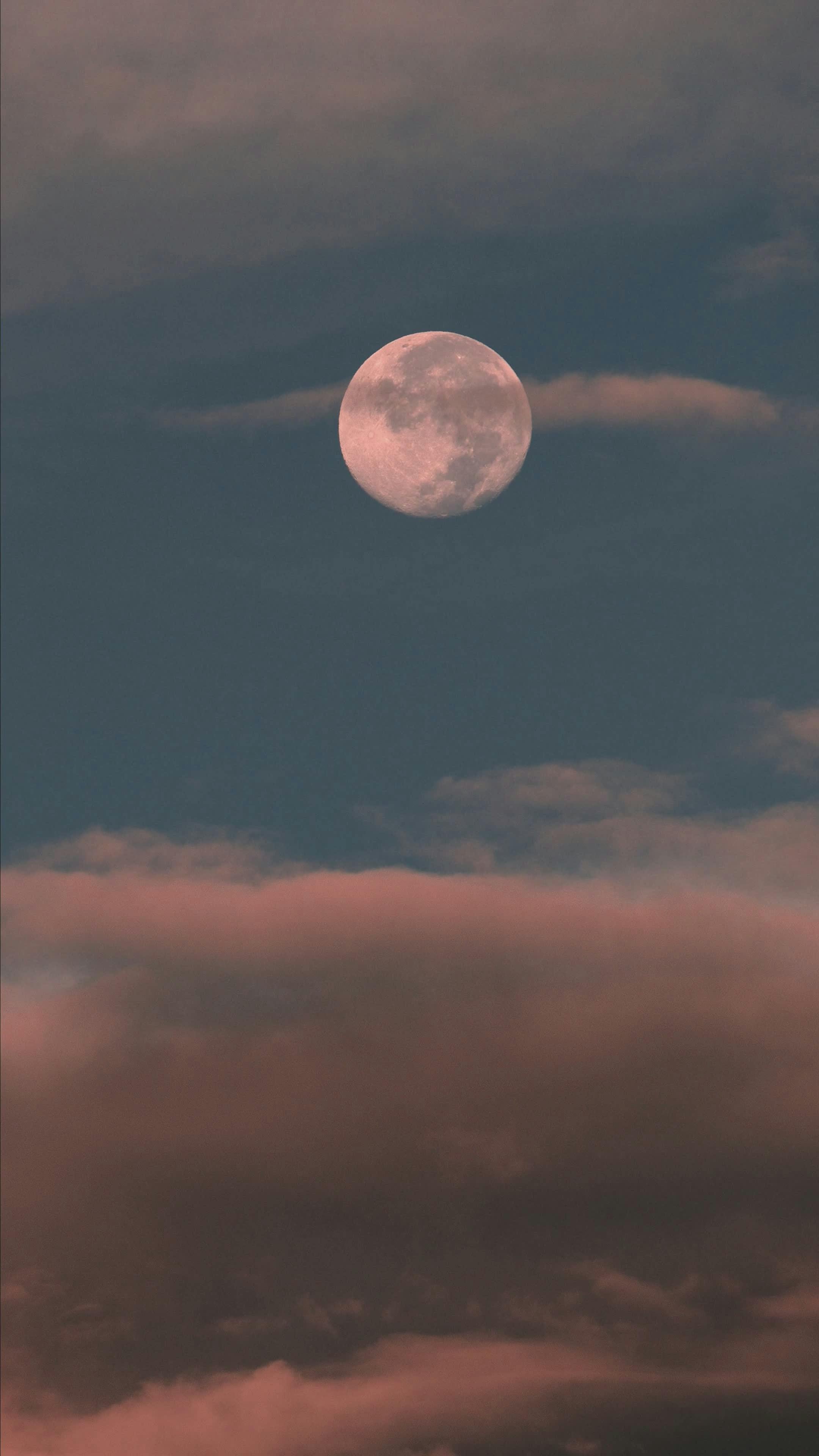 Ghettogaggers+Full+Vide Videos, Download The BEST Free 4k Stock Video ...