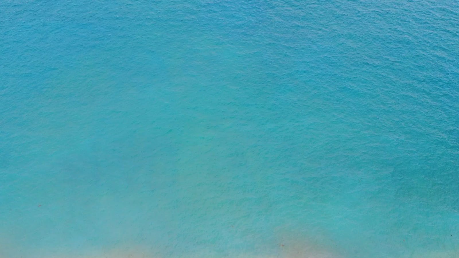 Naturist+Beach Videos, Download The BEST Free 4k Stock Video Footage & Naturist+Beach HD Video Clips