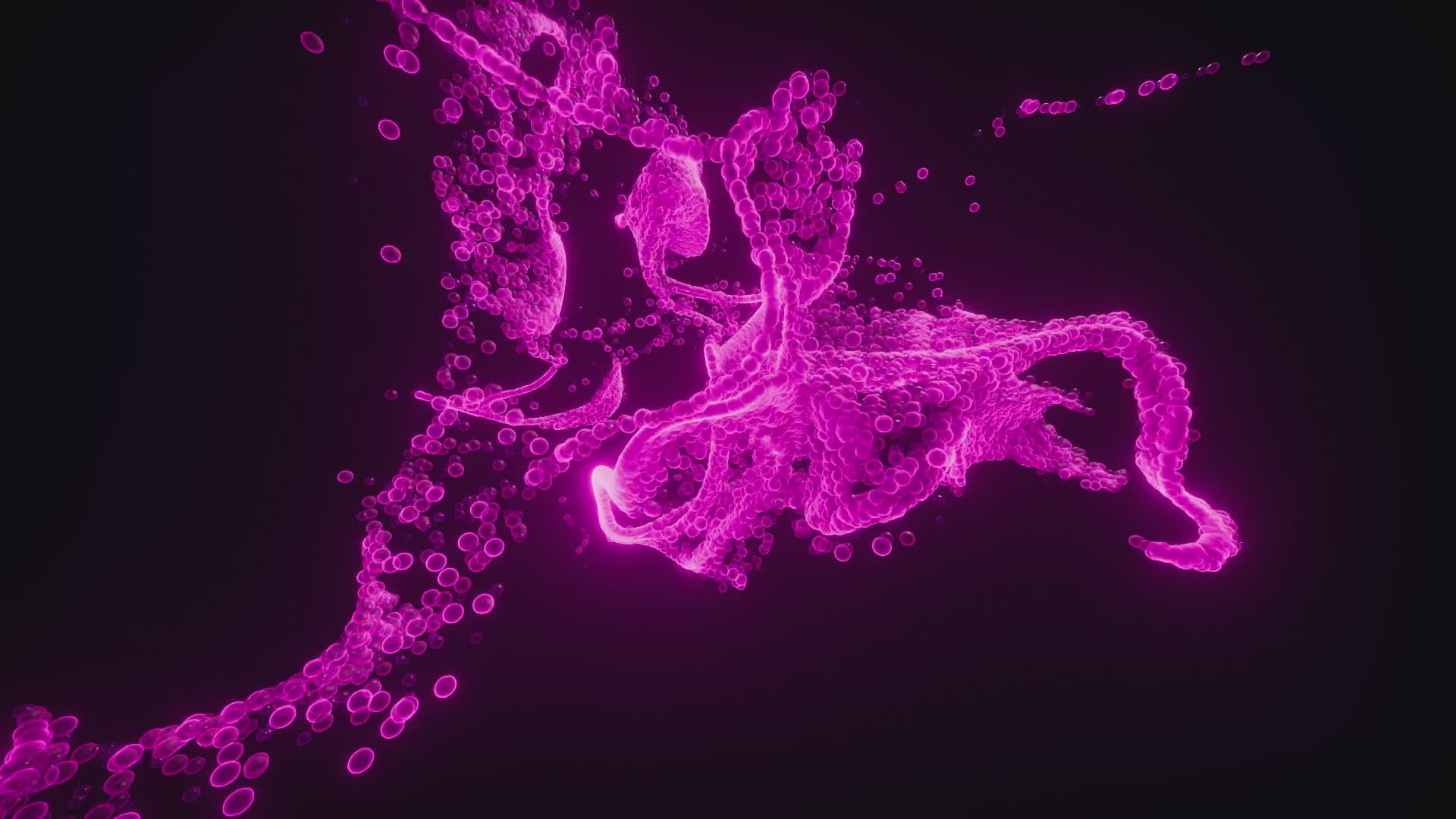 Abstract Pink Particle Animation Free Stock Video Footage, Royalty-Free ...