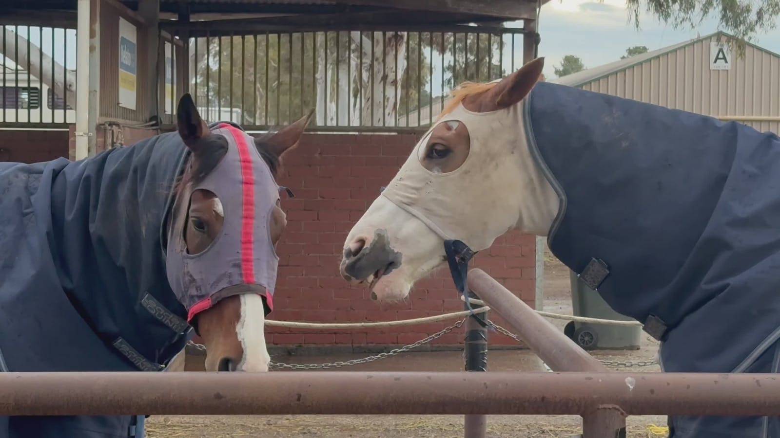 Teenage+Couples+Making+Love Videos, Download The BEST Free 4k Stock Video Footage & Teenage ...