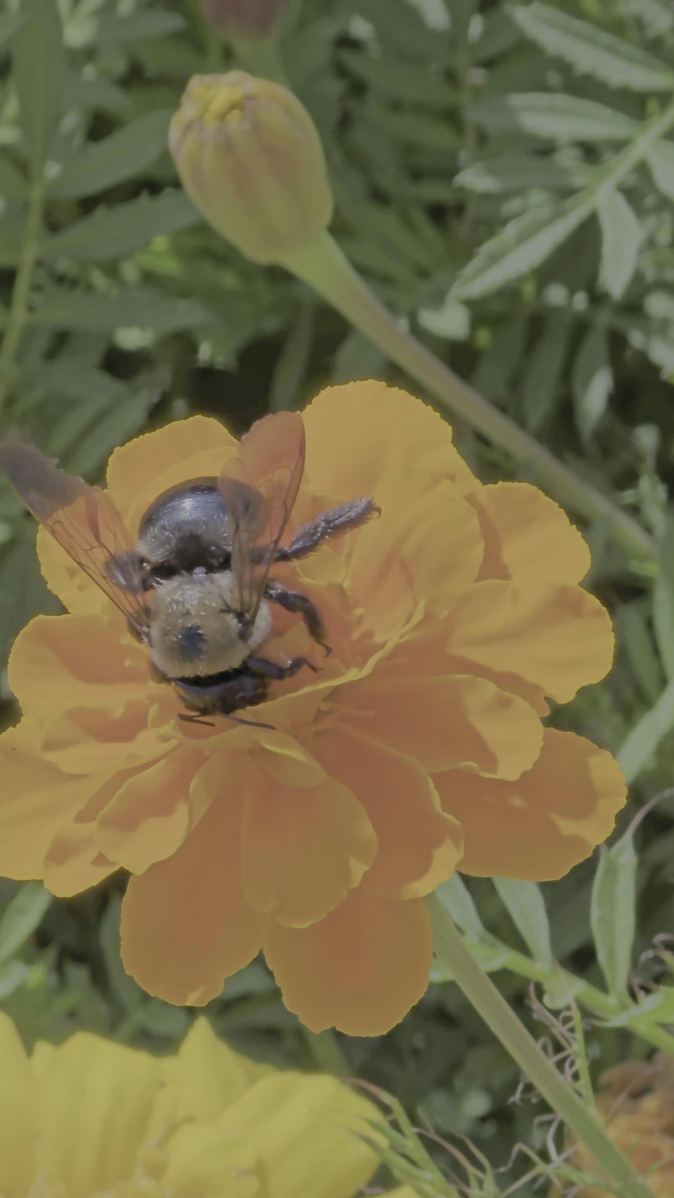 Hd Sexy Videos, Download The BEST Free 4k Stock Video Footage & Hd Sexy ...