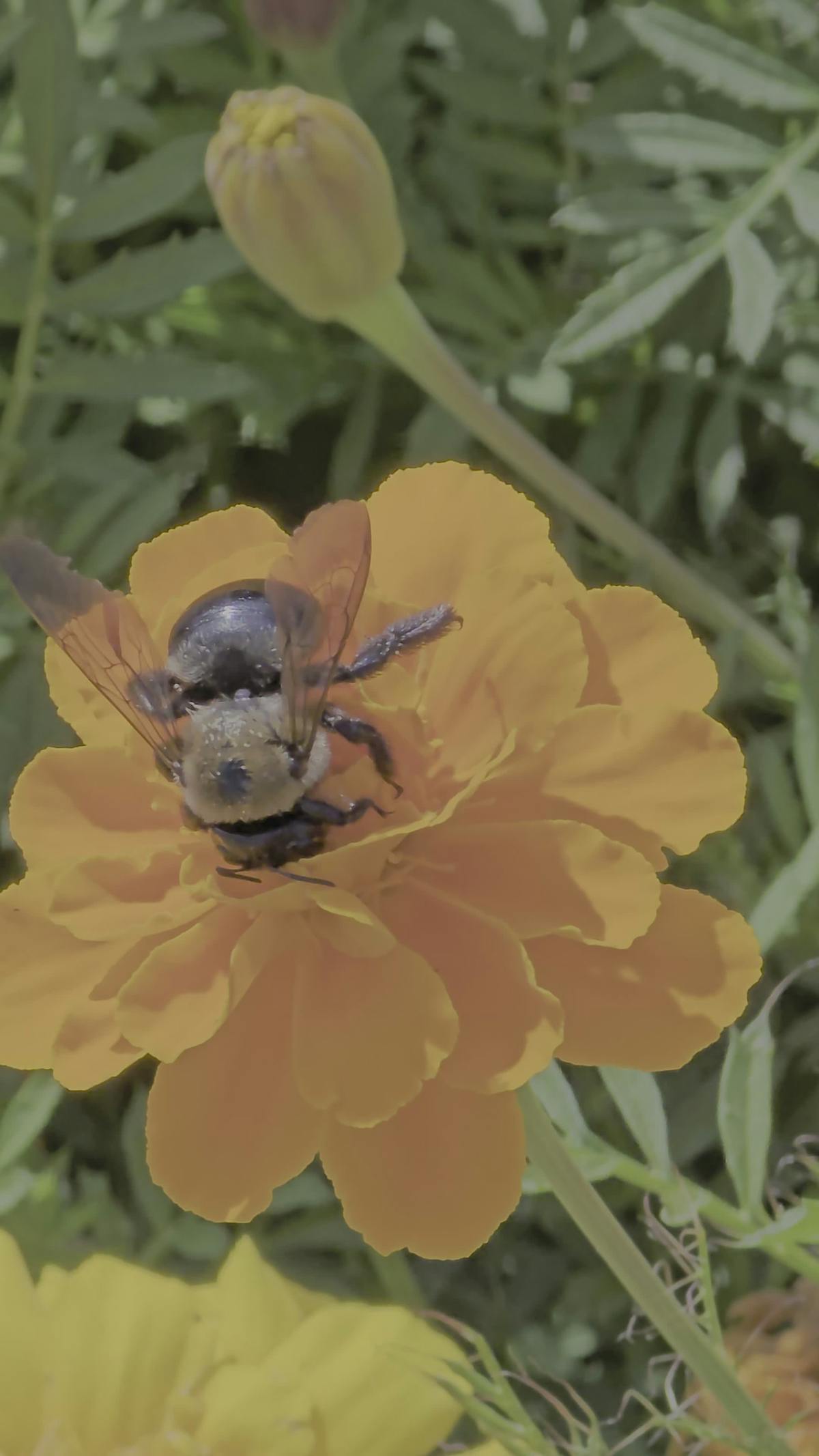 Bokeh+No+Blur+Yg+Asli Videos, Download The BEST Free 4k Stock Video ...