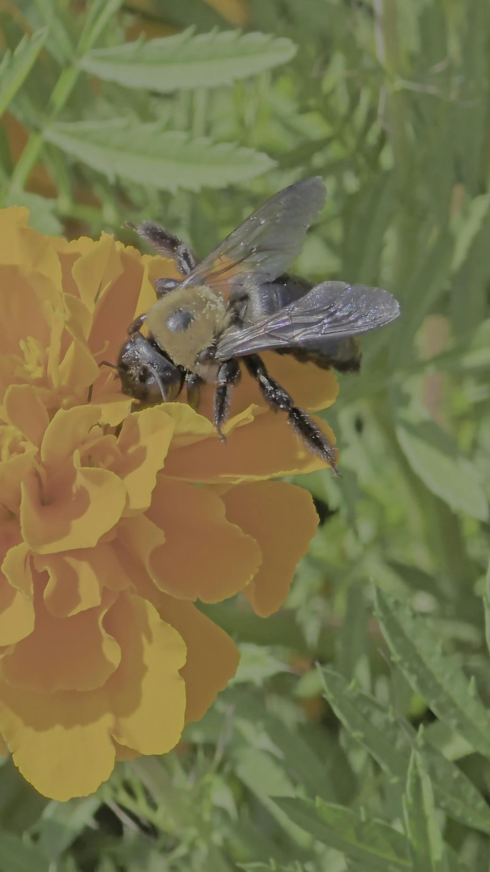 4k Hdr Videos, Download The BEST Free 4k Stock Video Footage & 4k Hdr ...