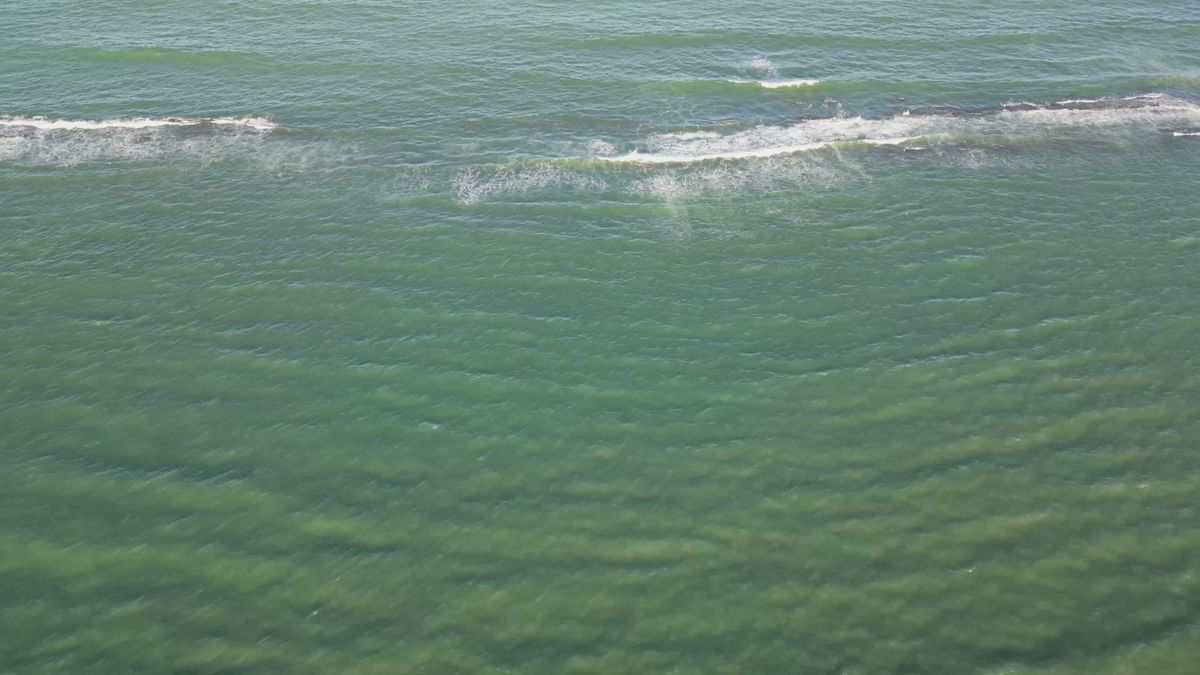Tidal Wave Videos, Download The BEST Free 4k Stock Video Footage ...