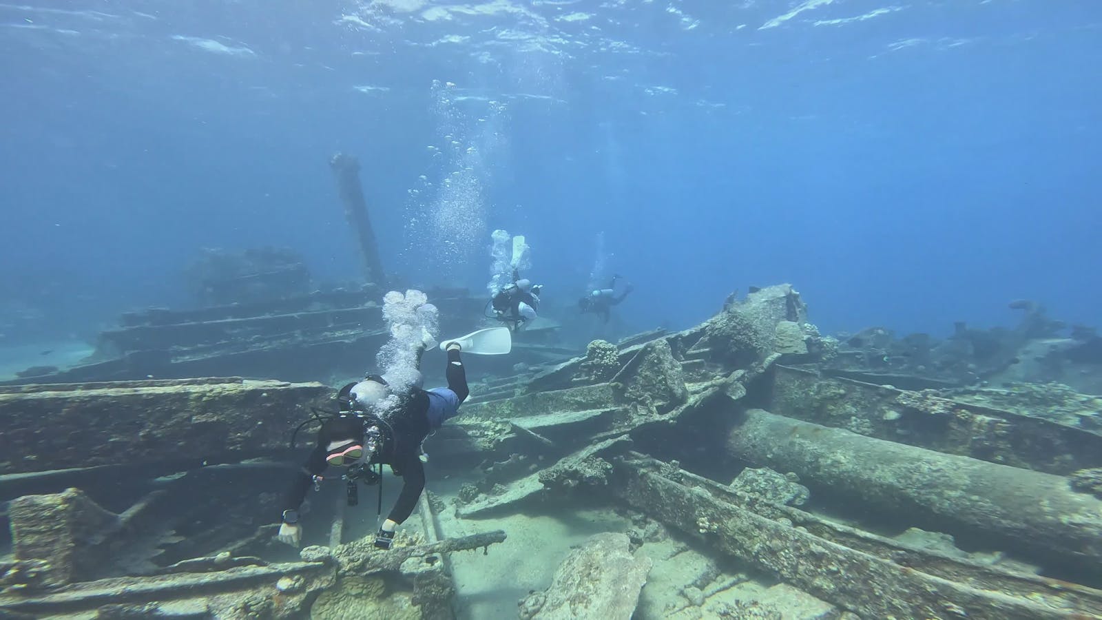 Gay+Muscle+Popper+Training Videos, Download The BEST Free 4k Stock ...