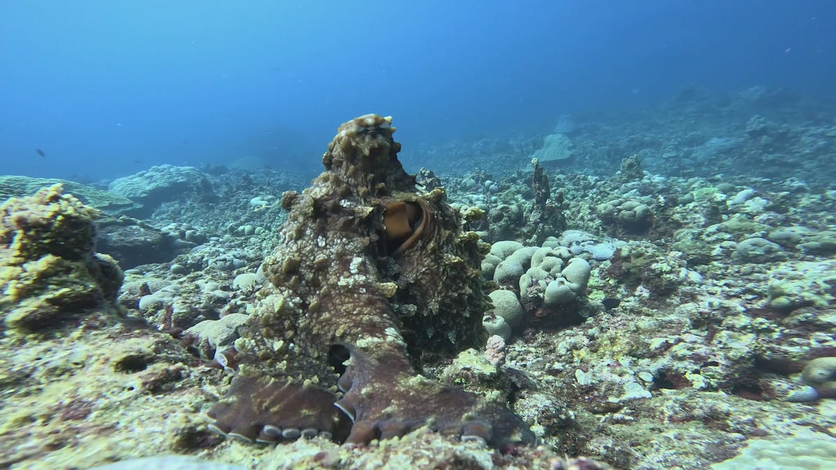 Step+Mom+And+Son+Sharing+Bed+Brazzers Videos, Download The BEST Free 4k Stock Video Footage ...