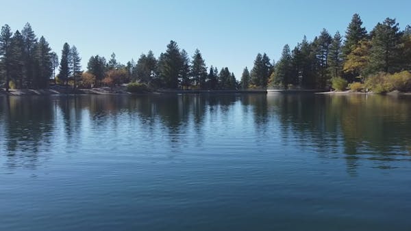 Video Placeholder Videos, Download The BEST Free 4k Stock Video Footage ...