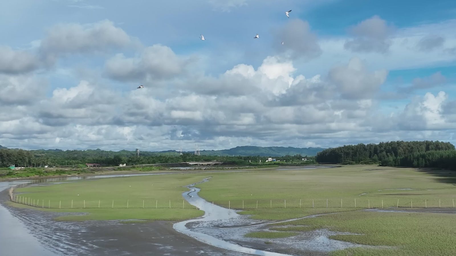 Sunny+Leone+Hot+Scenes Videos, Download The BEST Free 4k Stock Video ...