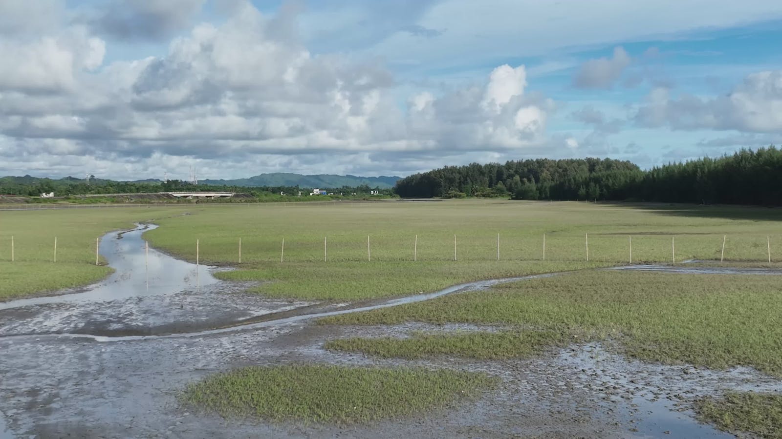 Hidden+Camera+Naturist+Beach Videos, Download The BEST Free 4k Stock Video Footage & Hidden ...