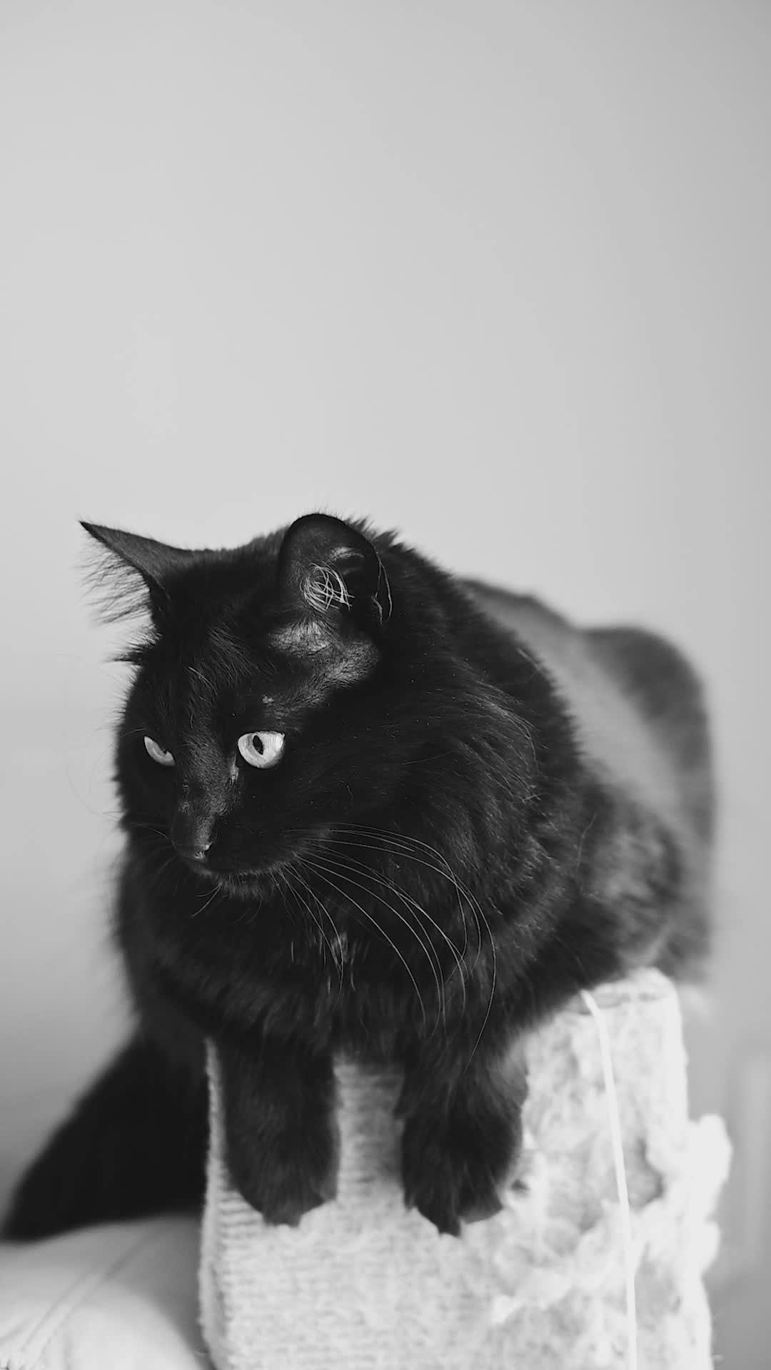 16k Video Videos, Download The BEST Free 4k Stock Video Footage & 16k ...