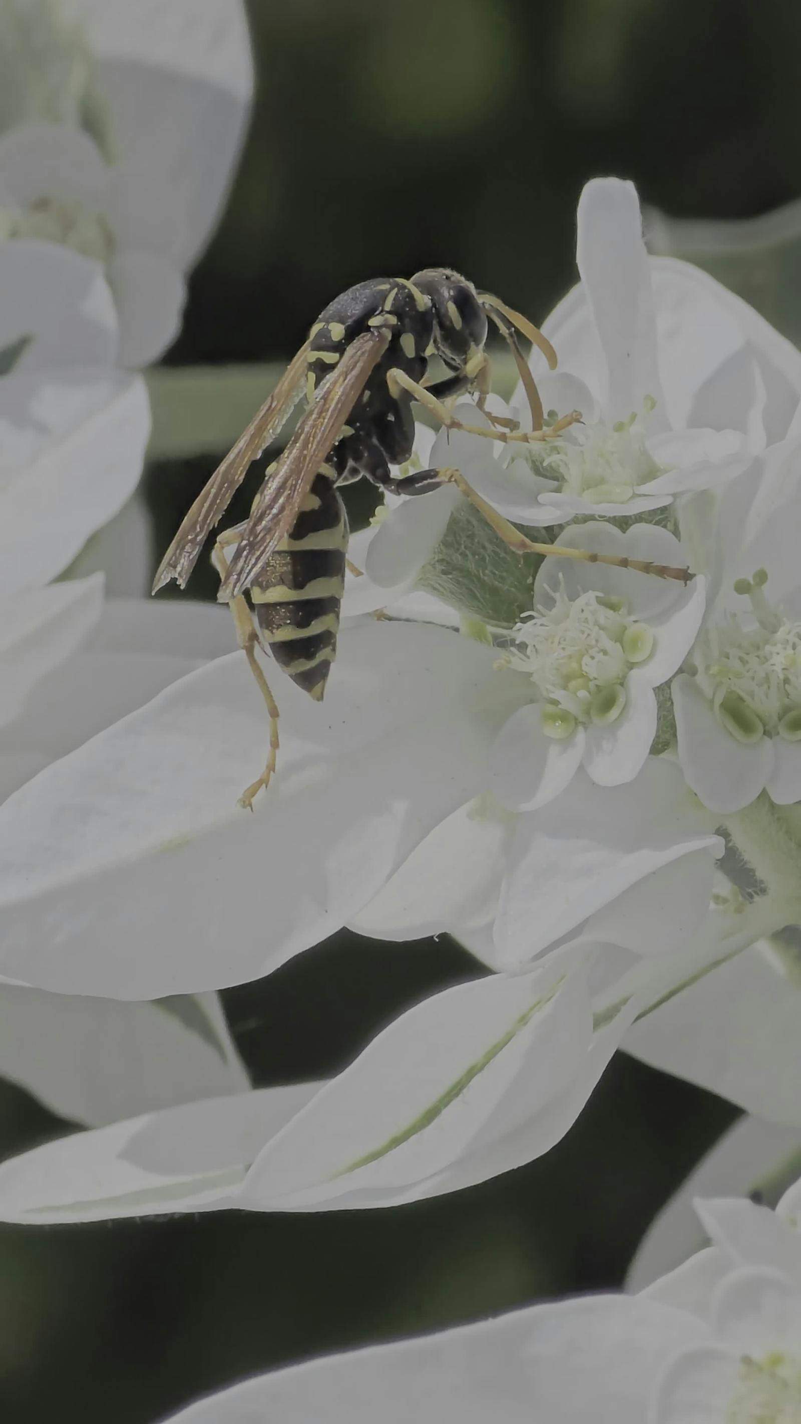 4k Hdr Videos, Download The BEST Free 4k Stock Video Footage & 4k Hdr ...