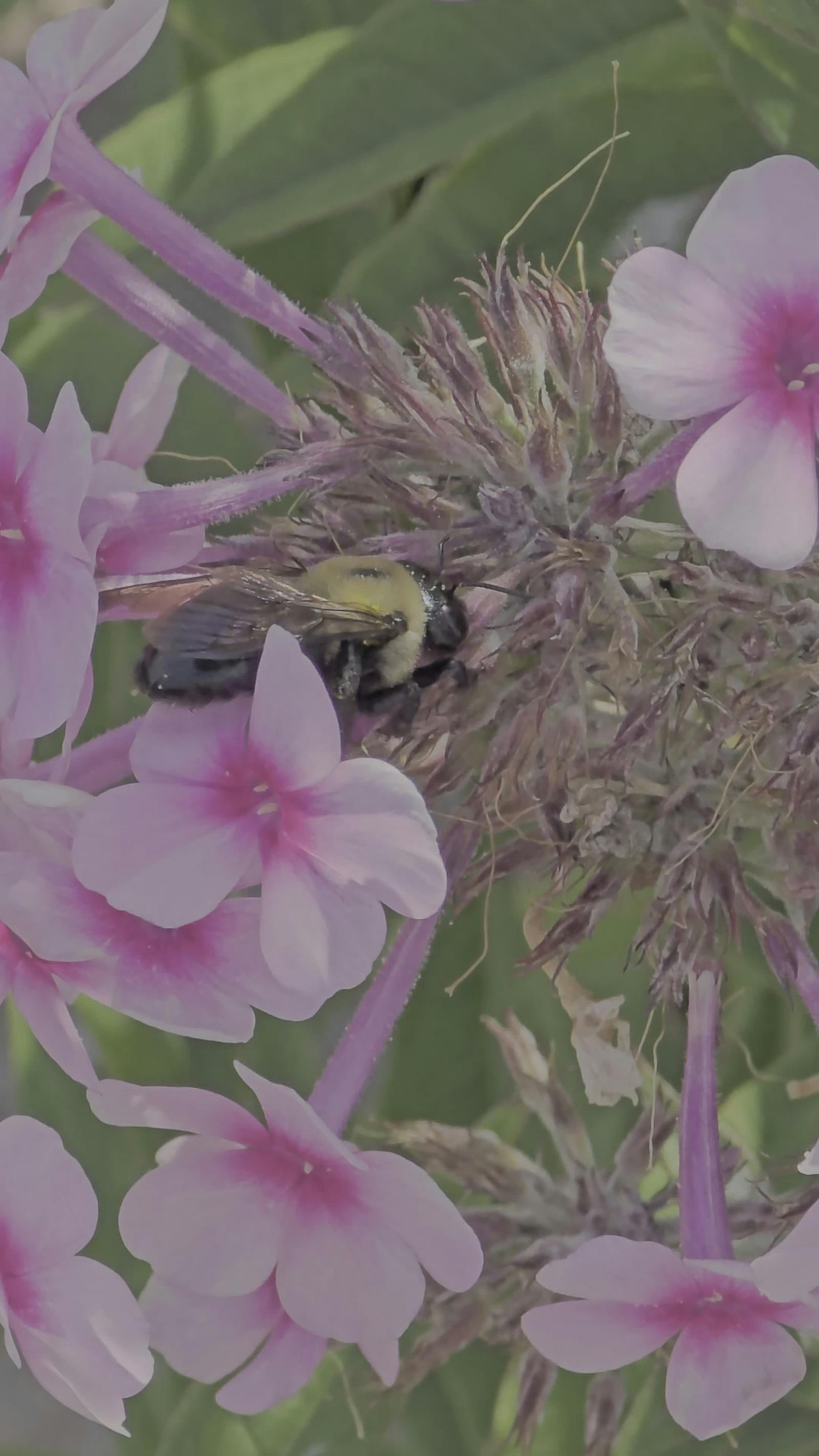 4k Hdr Videos, Download The BEST Free 4k Stock Video Footage & 4k Hdr ...