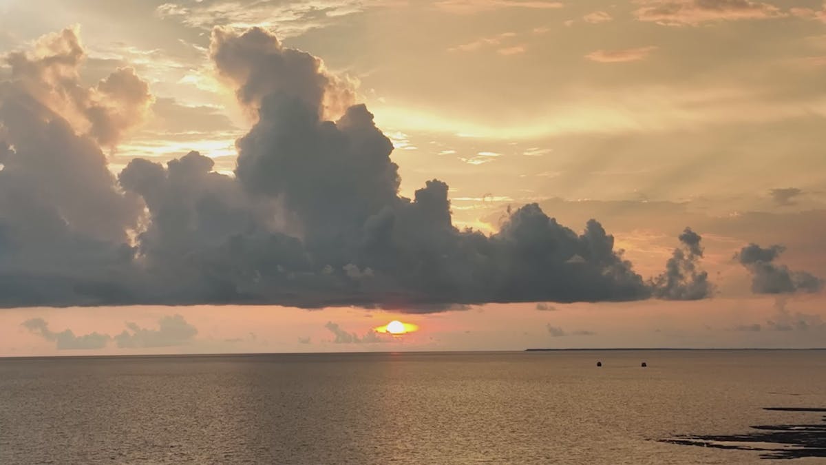 Best Video Videos, Download The BEST Free 4k Stock Video Footage & Best ...