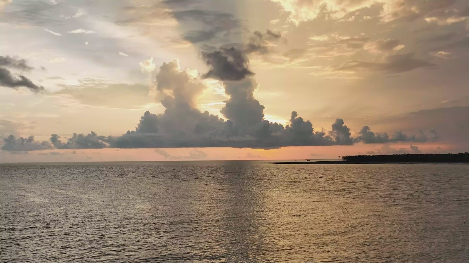 Best+Facial+Compilation Videos, Download The BEST Free 4k Stock Video ...