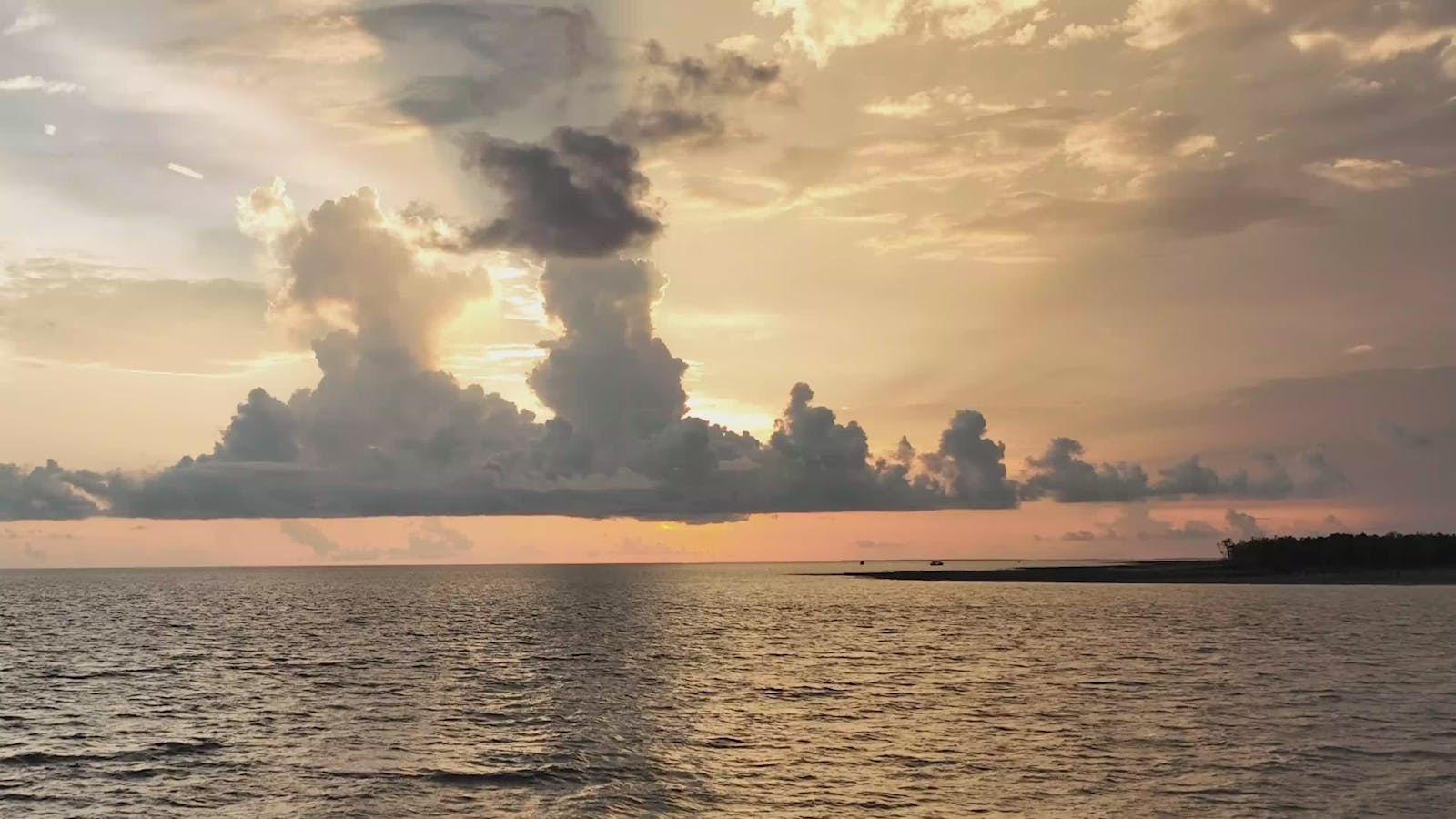 Bangla+Bf+Gf+Xx+Video Videos, Download The BEST Free 4k Stock Video ...