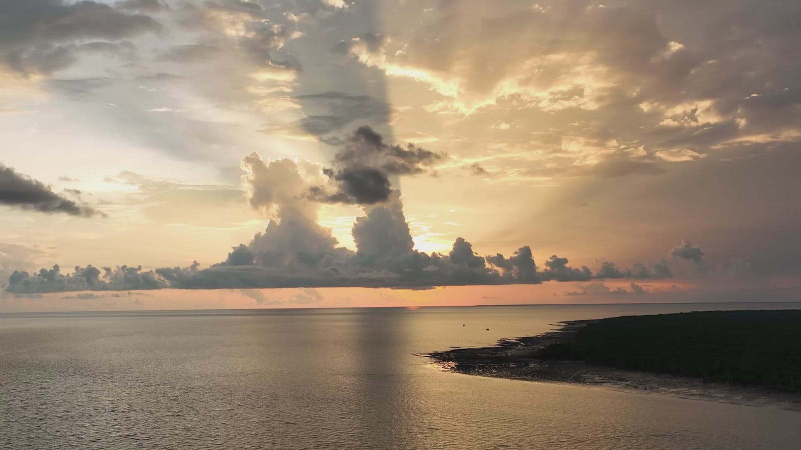 Best+Facial+Compilation Videos, Download The BEST Free 4k Stock Video ...