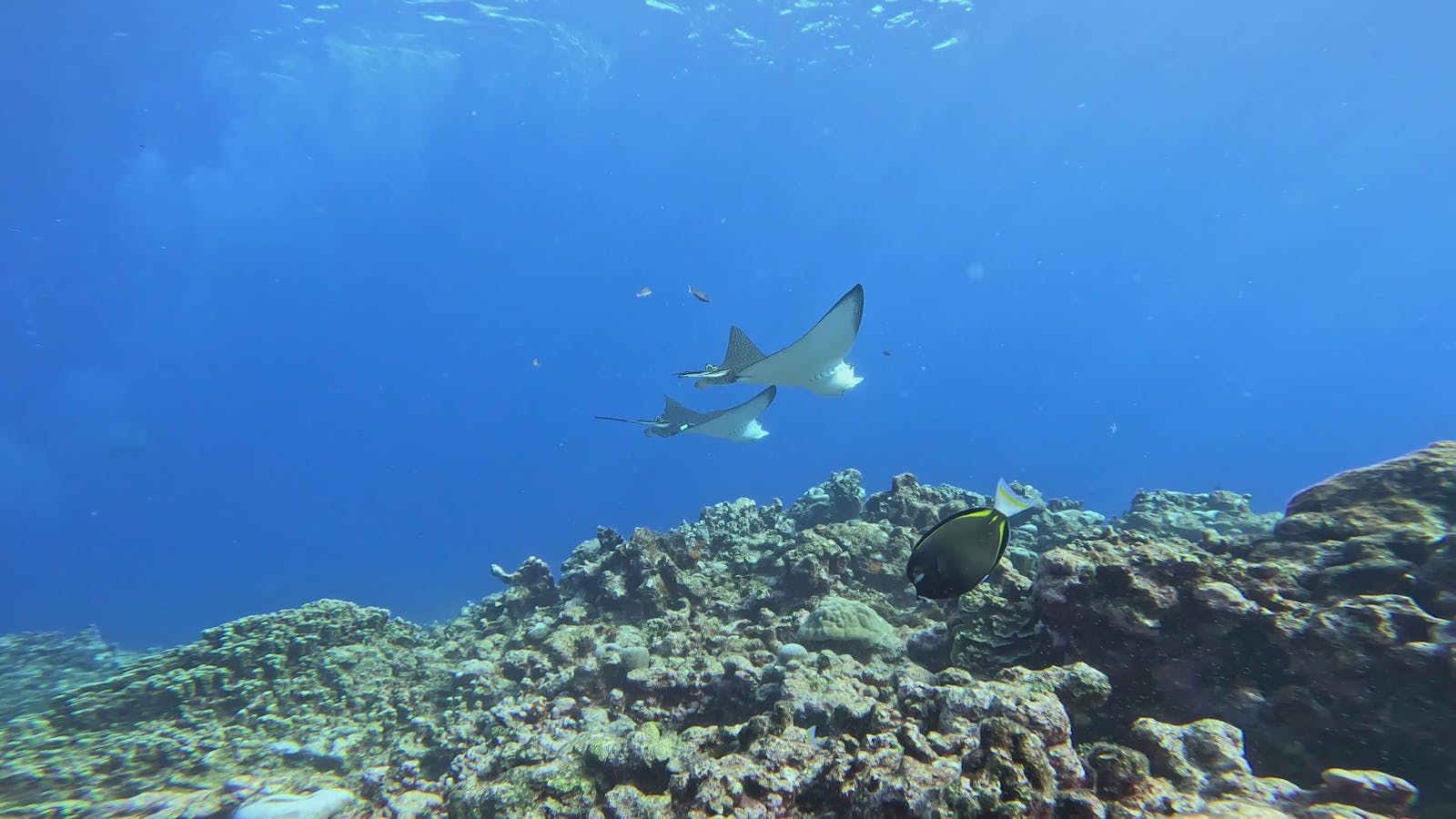 Very+Old+Granny+Opens+Her+Slack+Fanny+Wide Videos, Download The BEST ...