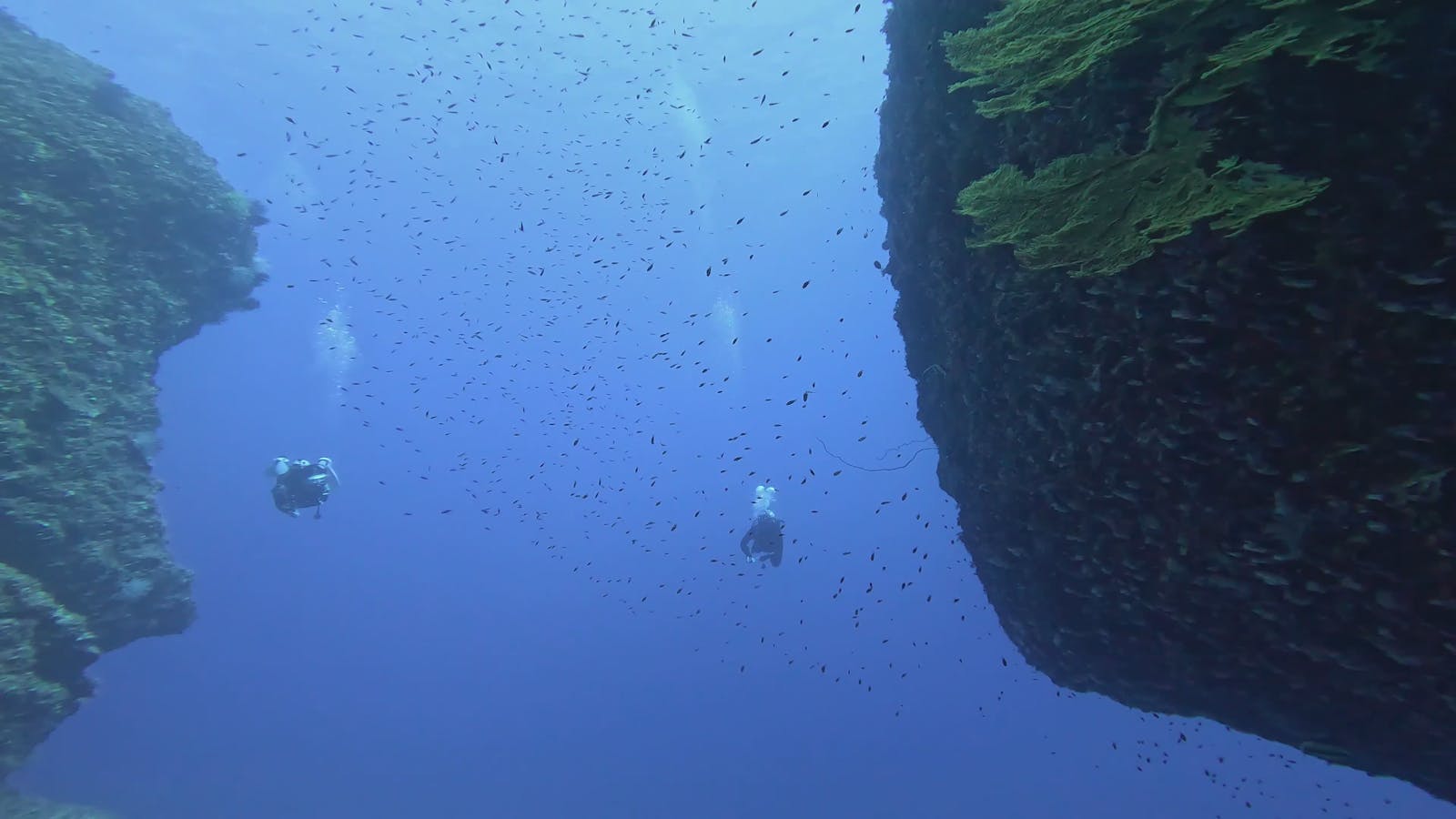 Very+Old+Granny+Opens+Her+Slack+Fanny+Wide Videos, Download The BEST ...