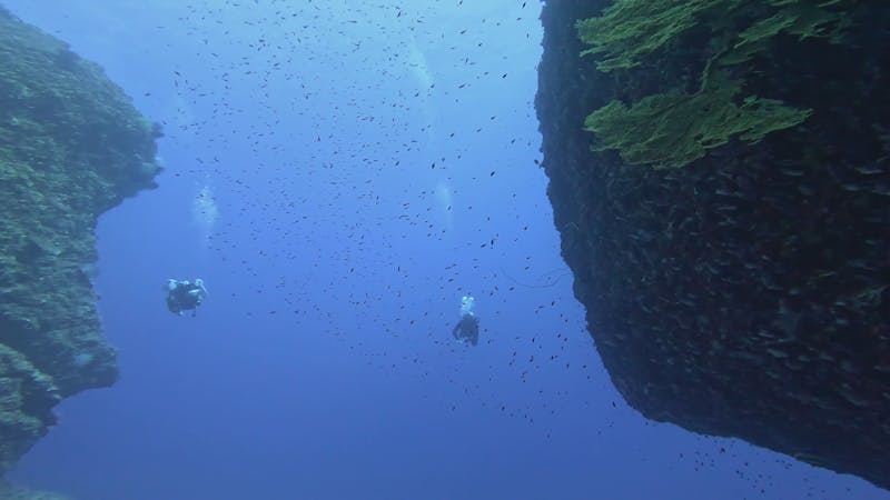 Very+Old+Granny+Opens+Her+Slack+Fanny+Wide Videos, Download The BEST ...