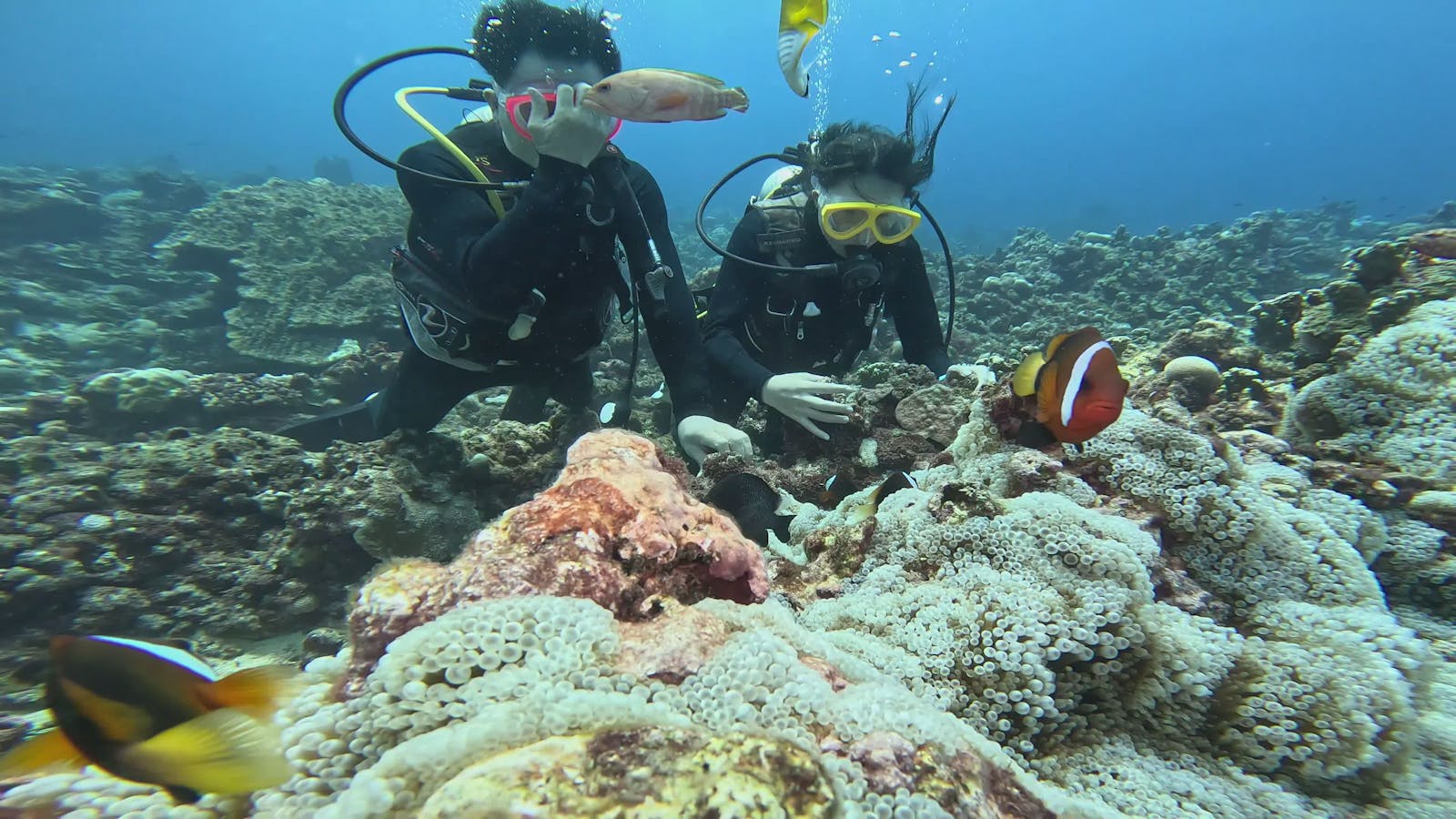 Yololary+Taking+Off+Her+Spider+Man+Suit Videos, Download The BEST Free ...