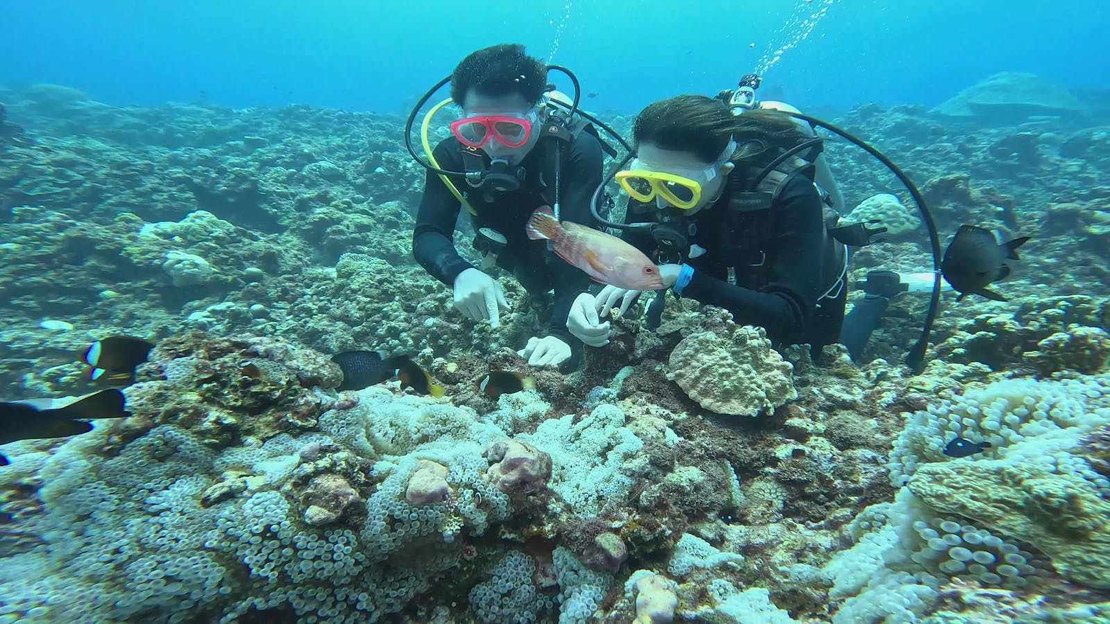 Teenage+Couples+Making+Love Videos, Download The BEST Free 4k Stock Video Footage & Teenage ...