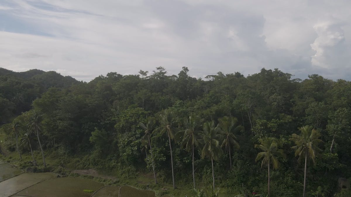 Hidden+Camera+Changing+Room Videos, Download The BEST Free 4k Stock ...