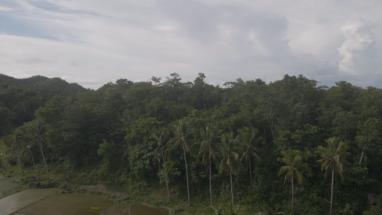 Xxl+Hd+Video Videos, Download The BEST Free 4k Stock Video Footage & Xxl+Hd+Video HD Video Clips