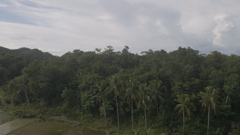 Asian+Stripping+Unfiltered Videos, Download The BEST Free 4k Stock ...