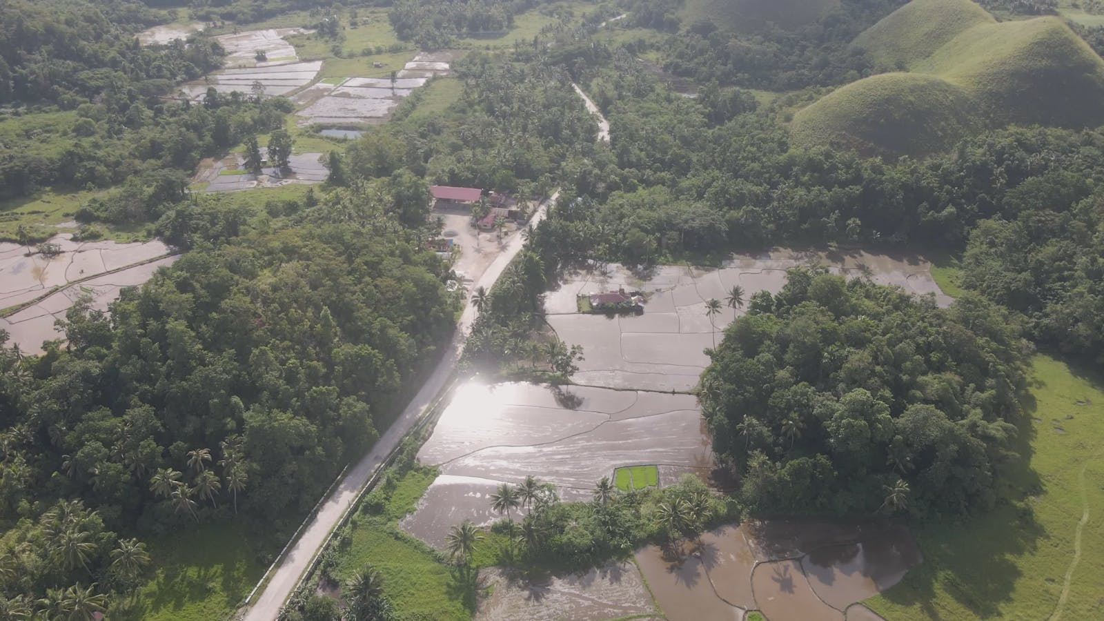 Lesbian+Golden+Shower+Videos Videos, Download The BEST Free 4k Stock Video Footage & Lesbian ...