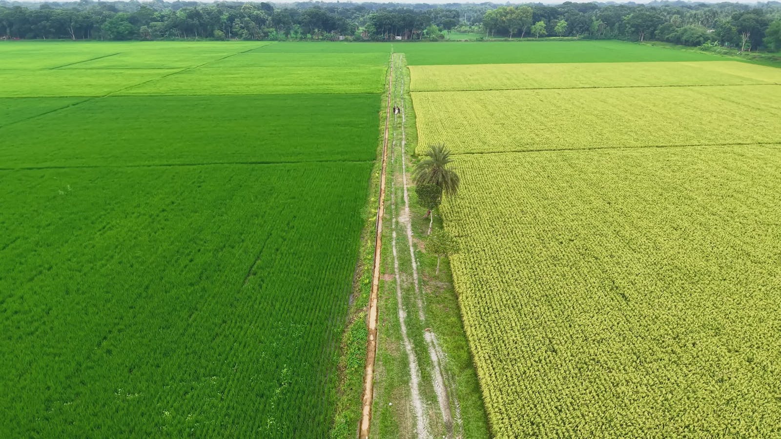 Ebony+Legs+Spread+Wide+Open Videos, Download The BEST Free 4k Stock ...