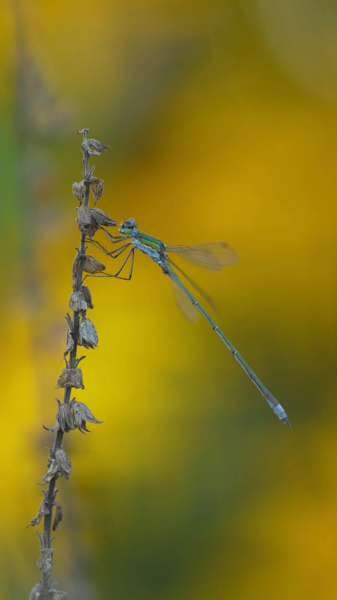 Lyric Background Videos, Download The BEST Free 4k Stock Video Footage ...