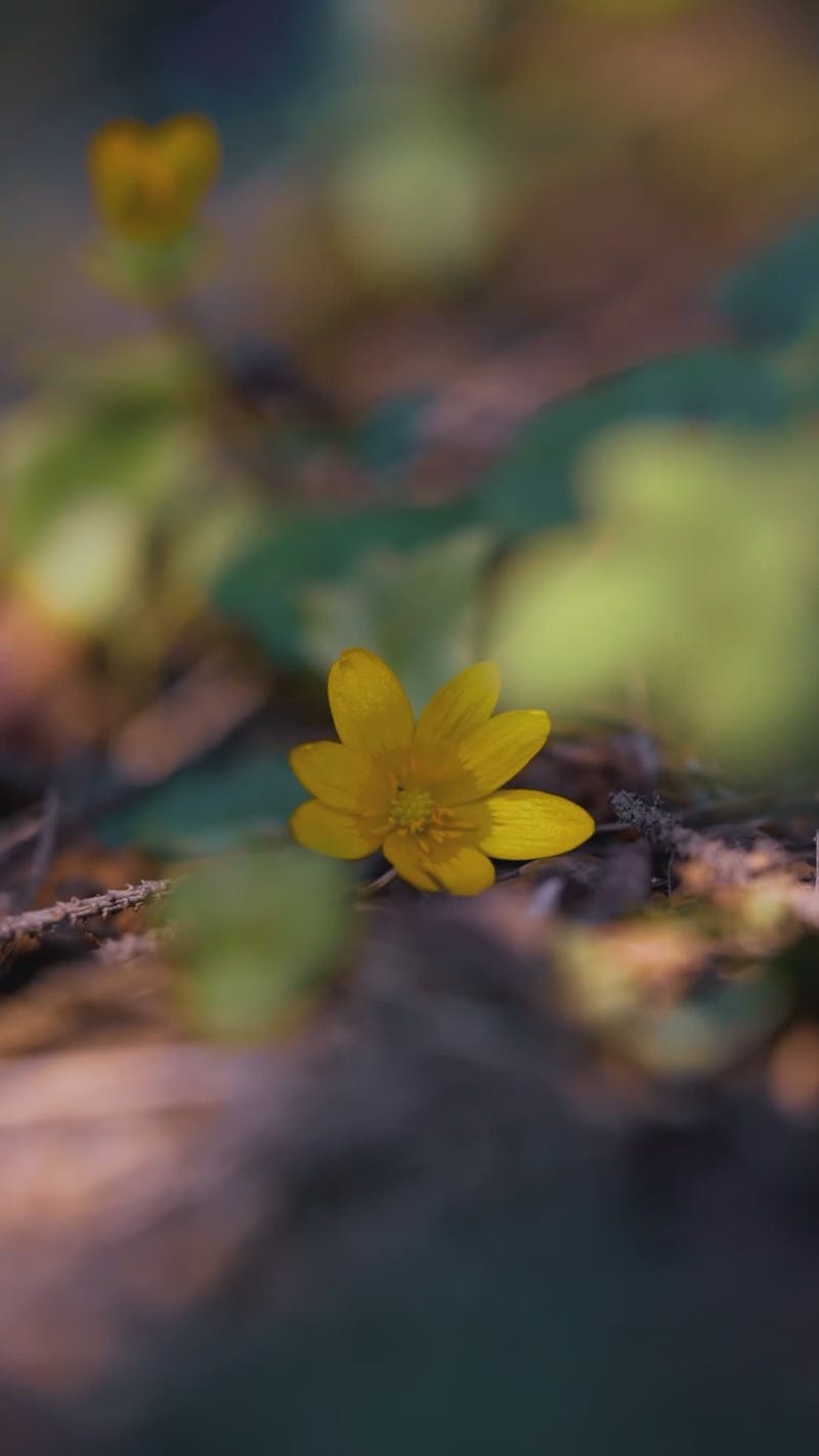 Hidden+Camera+Changing+Room Videos, Download The BEST Free 4k Stock ...