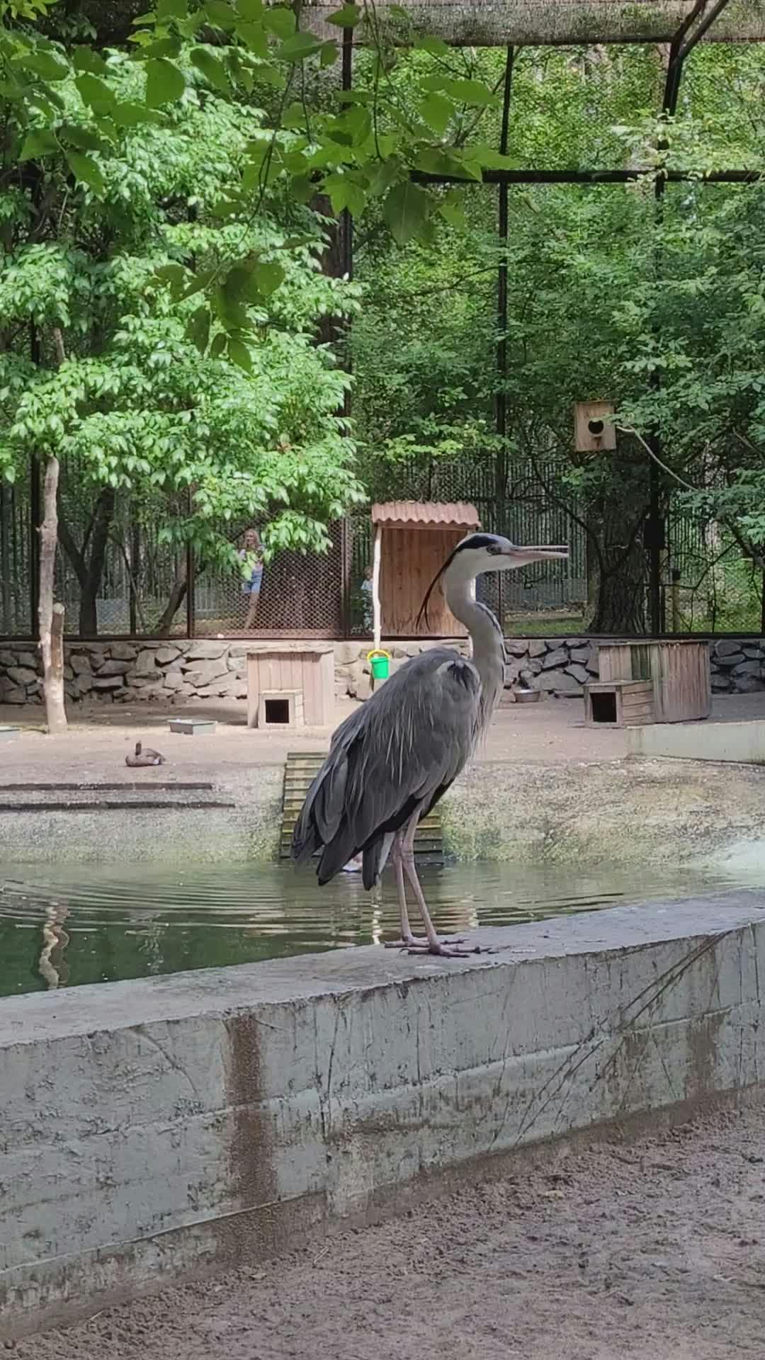 Long+Tongue+Women+Kissing Videos, Download The BEST Free 4k Stock Video ...