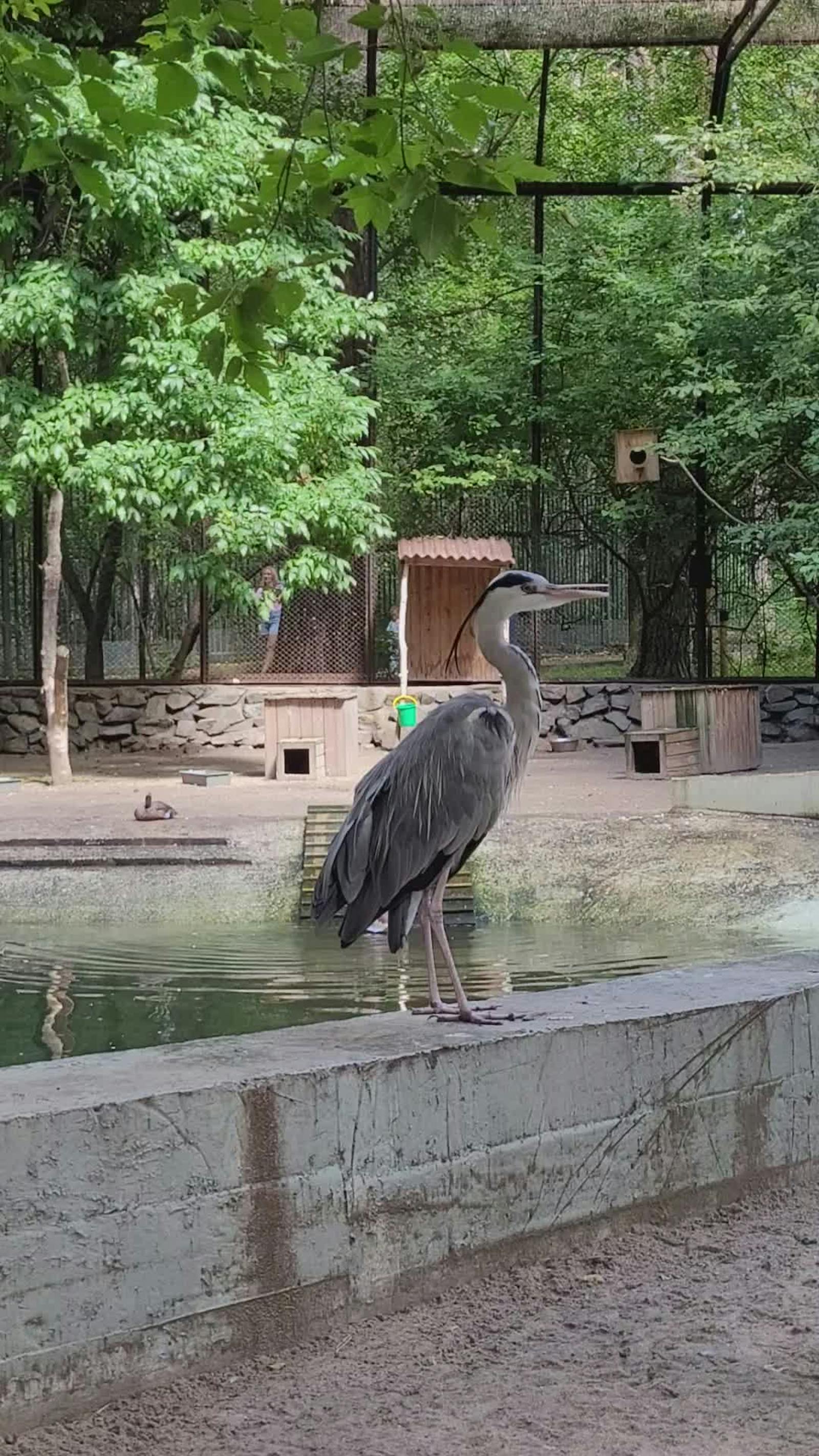 Legs+Spread+Wide+Gif Videos, Download The BEST Free 4k Stock Video ...