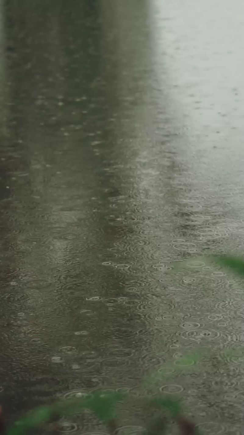 Rainy Day Videos, Download The BEST Free 4k Stock Video Footage & Rainy ...