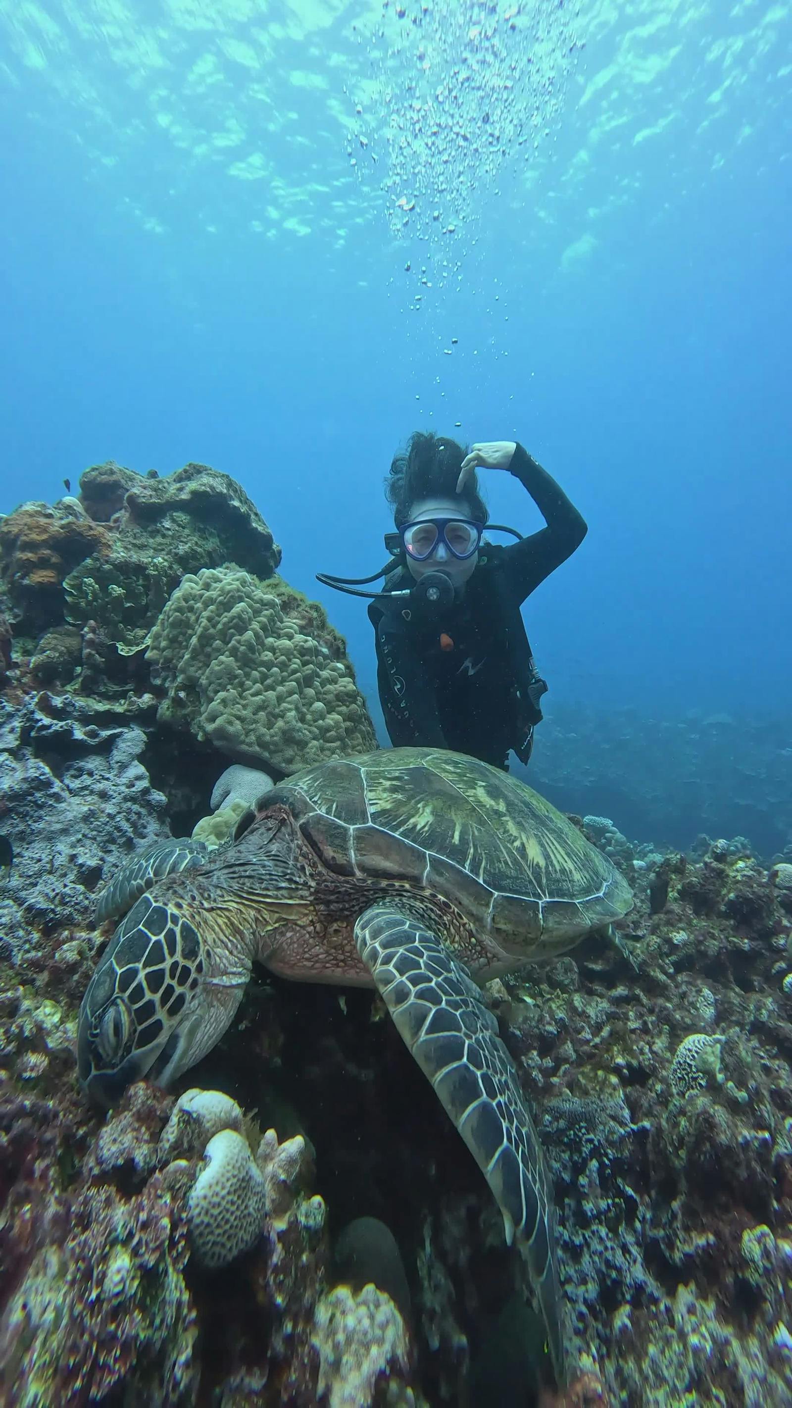 Women+Peeing+On+The+Floor Videos, Download The BEST Free 4k Stock Video Footage & Women+Peeing ...