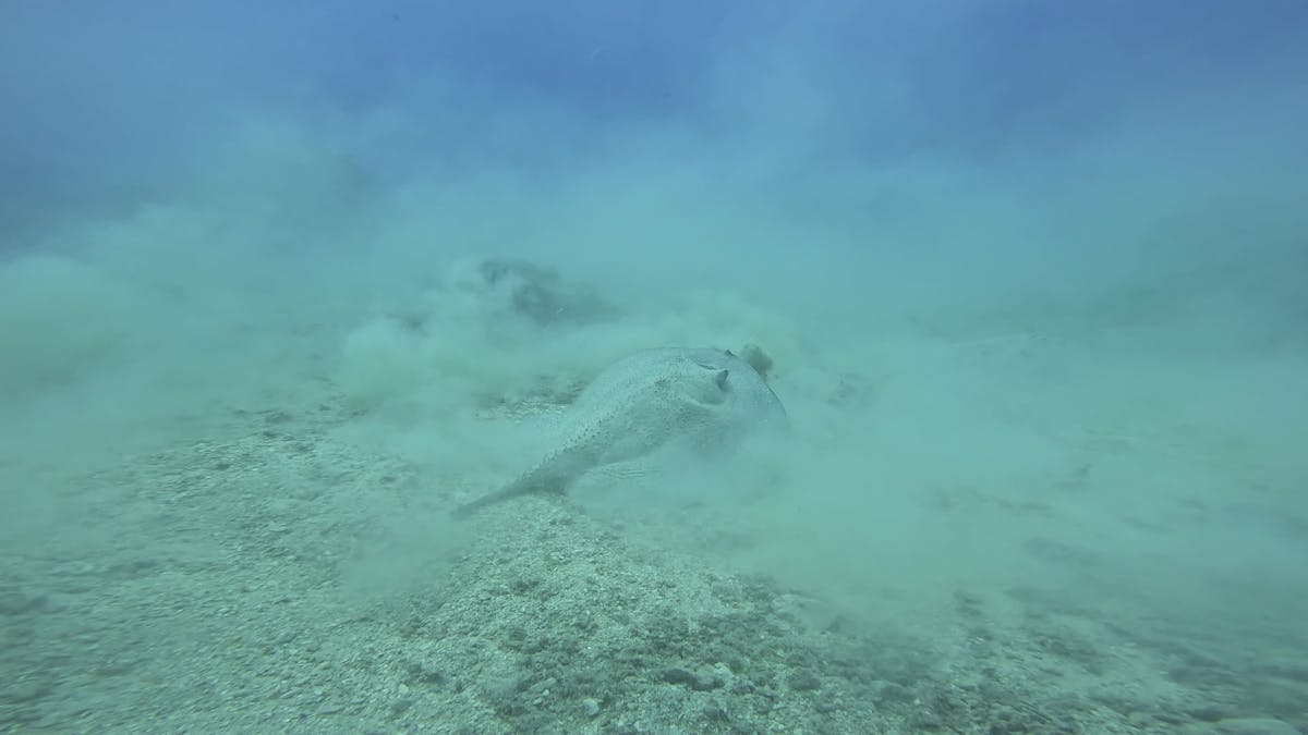 Full+Phonography+Movies+In+Action Videos, Download The BEST Free 4k ...