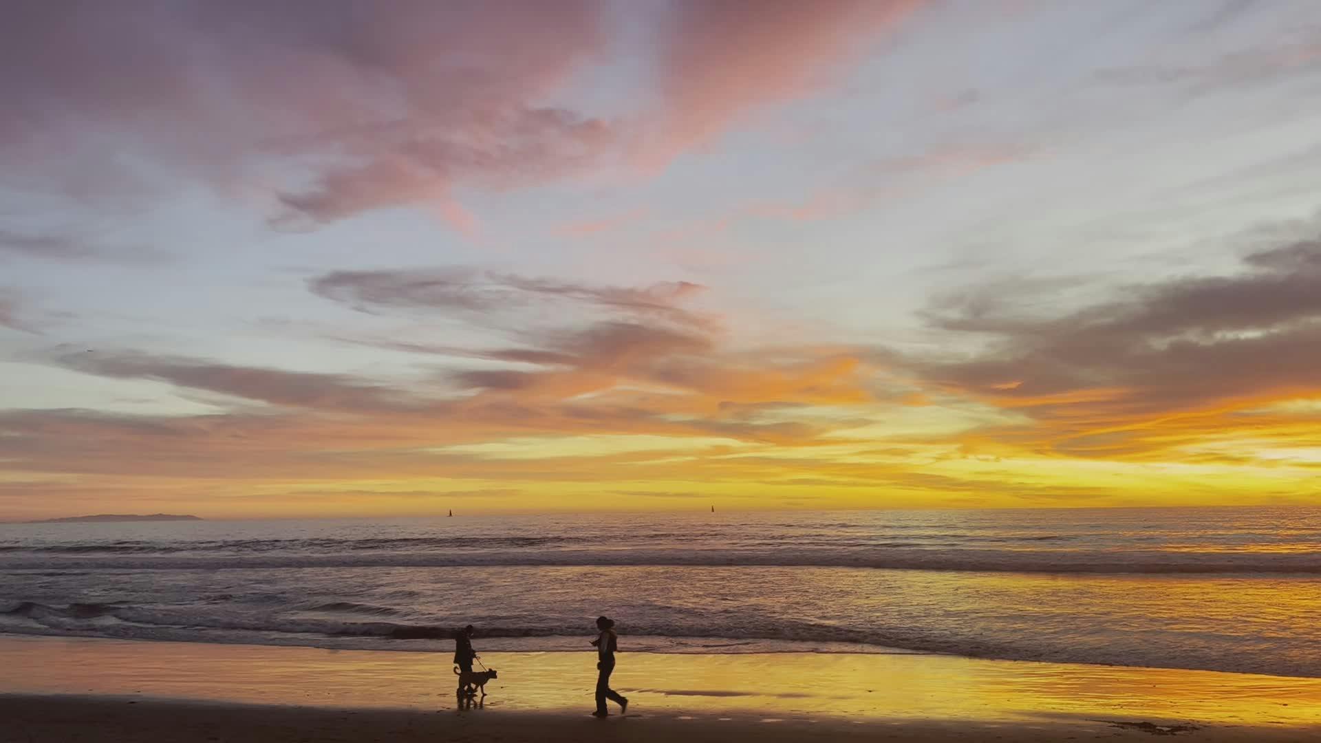 Dog+Dog+Xxxx Videos, Download The BEST Free 4k Stock Video Footage ...