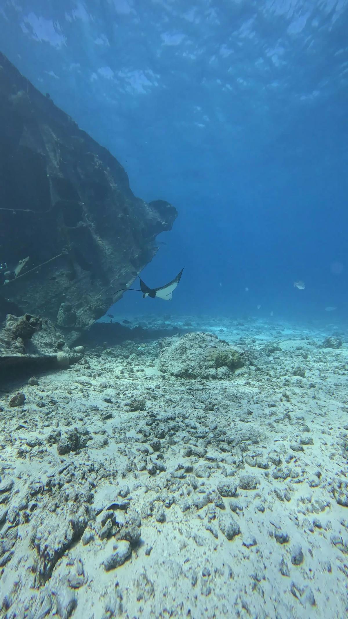 Mom+And+Son+Share+Bed+In+Hotel Videos, Download The BEST Free 4k Stock ...