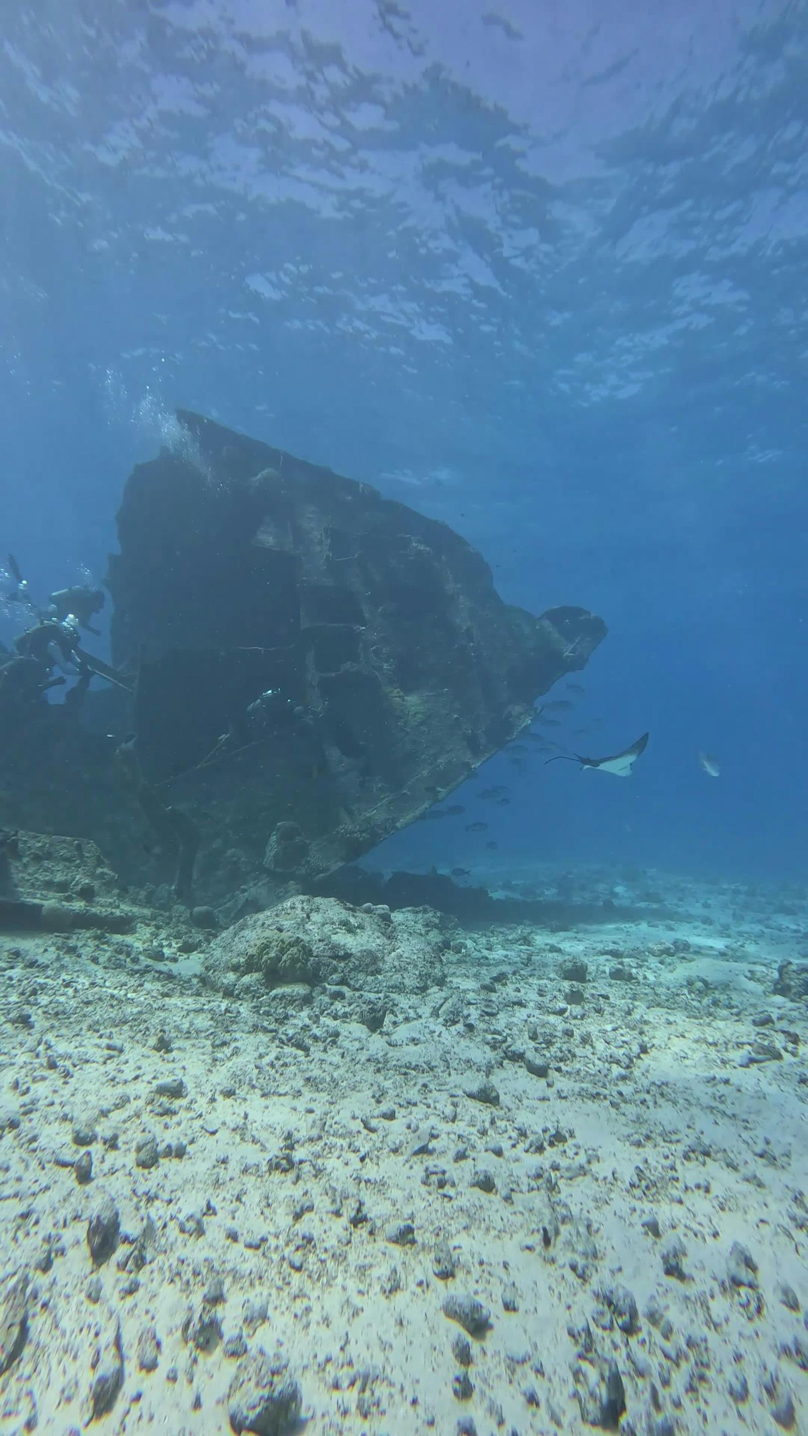 Step+Mom+And+Son+Sharing+Bed+Brazzers Videos, Download The BEST Free 4k Stock Video Footage ...