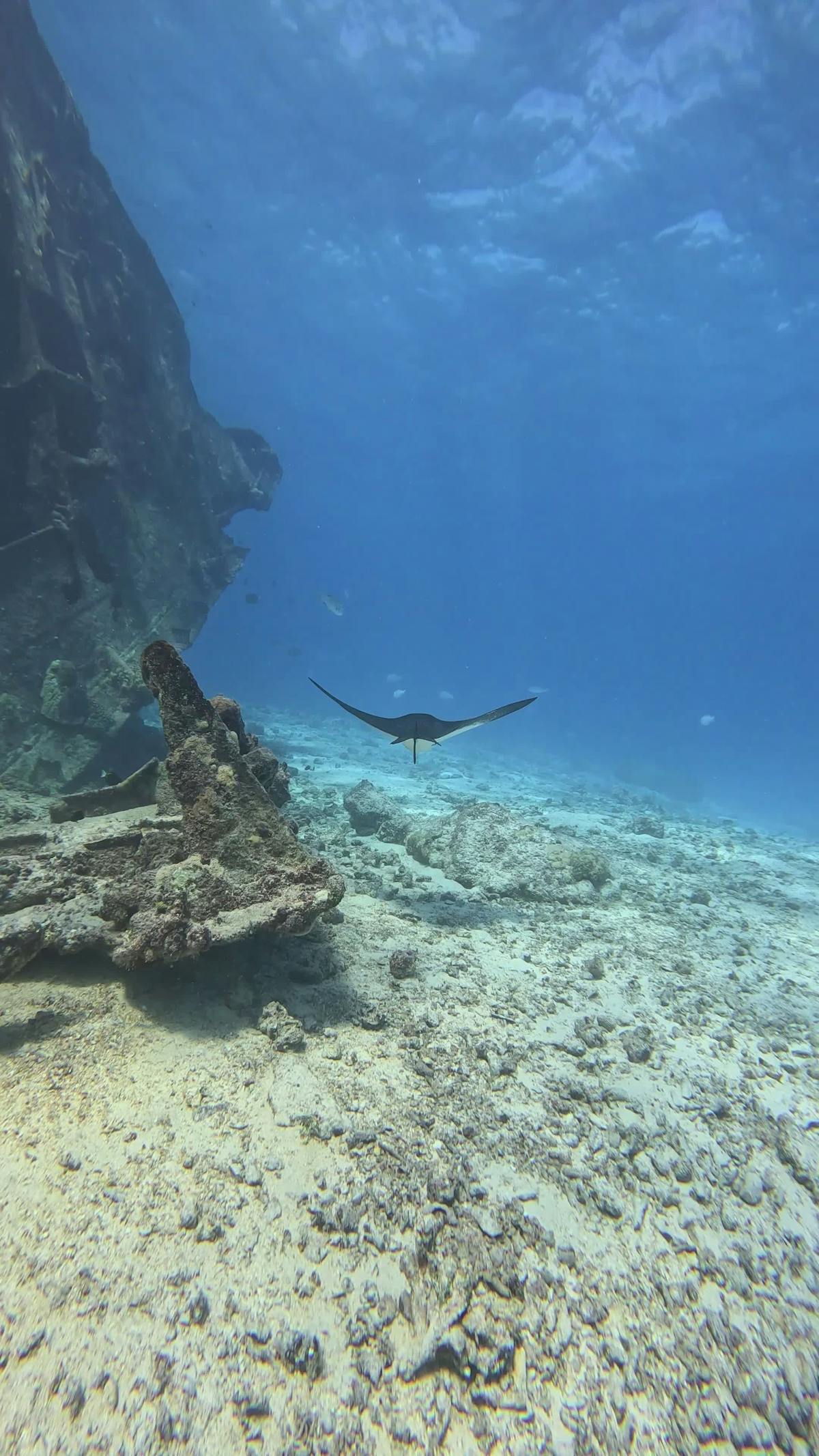 Step+Mom+And+Son+Sharing+Bed+Brazzers Videos, Download The BEST Free 4k Stock Video Footage ...