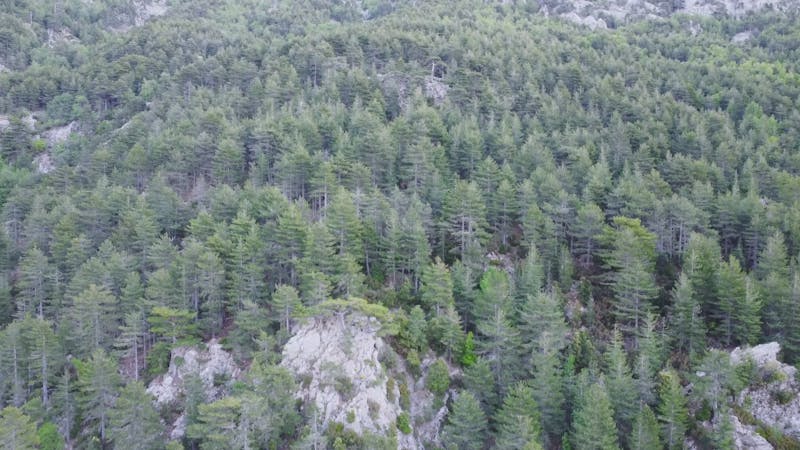 Xxhd+Video+Download Videos, Download The BEST Free 4k Stock Video ...