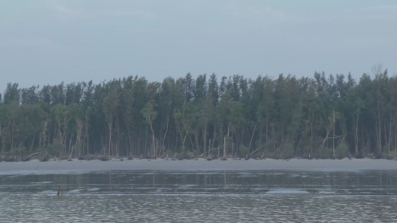 Png+Latest+Kuap+Videos+2022 Videos, Download The BEST Free 4k Stock ...