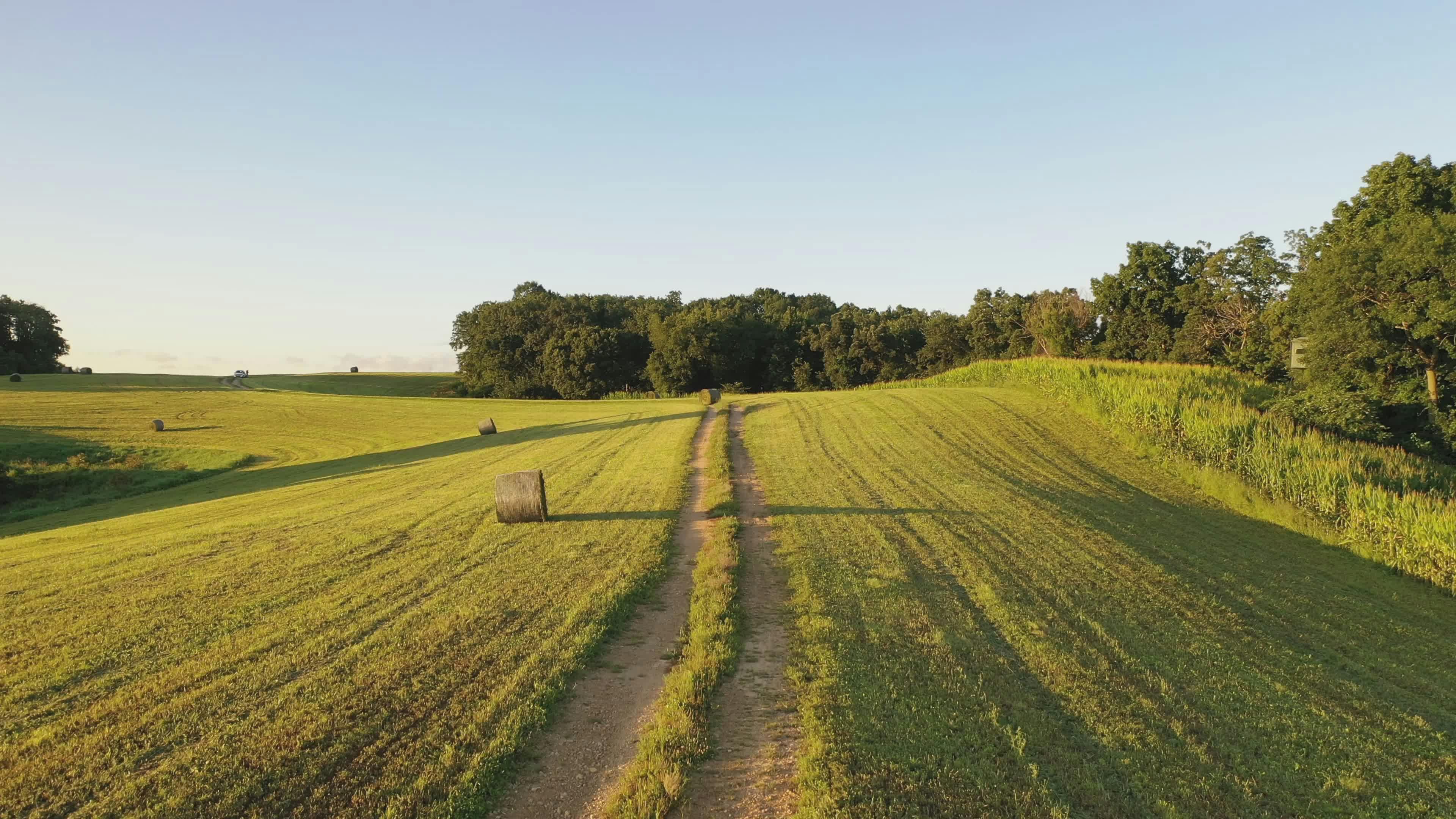 Bp+Video+Open Videos, Download The BEST Free 4k Stock Video Footage ...