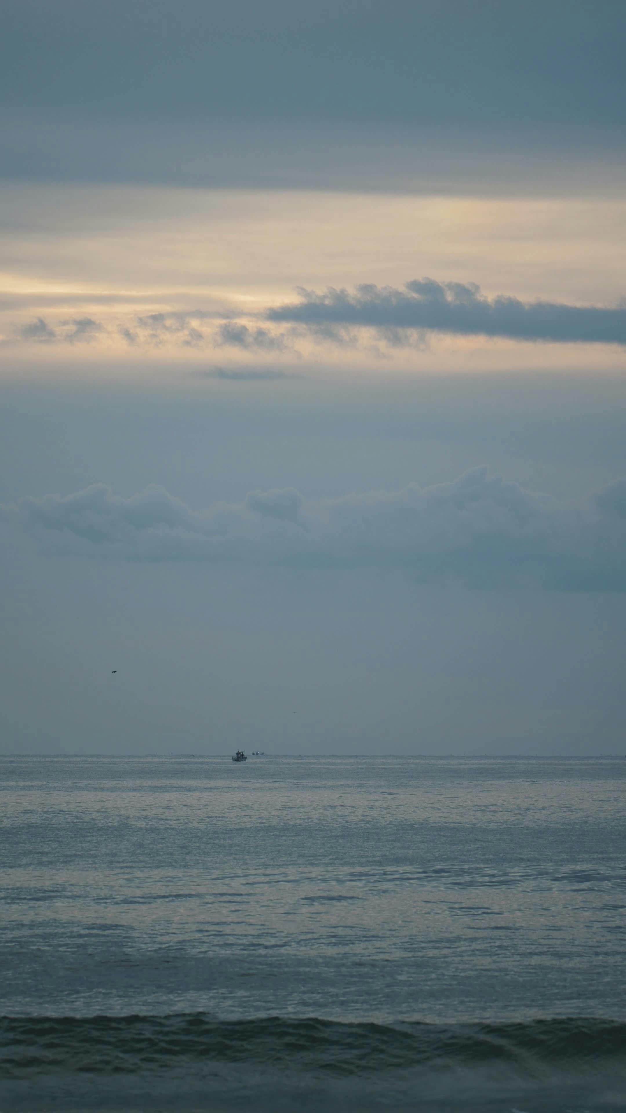 Bare+Breasts+Bouncing Videos, Download The BEST Free 4k Stock Video ...