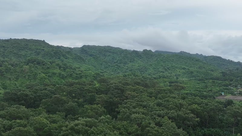 Asian+Monger Videos, Download The BEST Free 4k Stock Video Footage ...